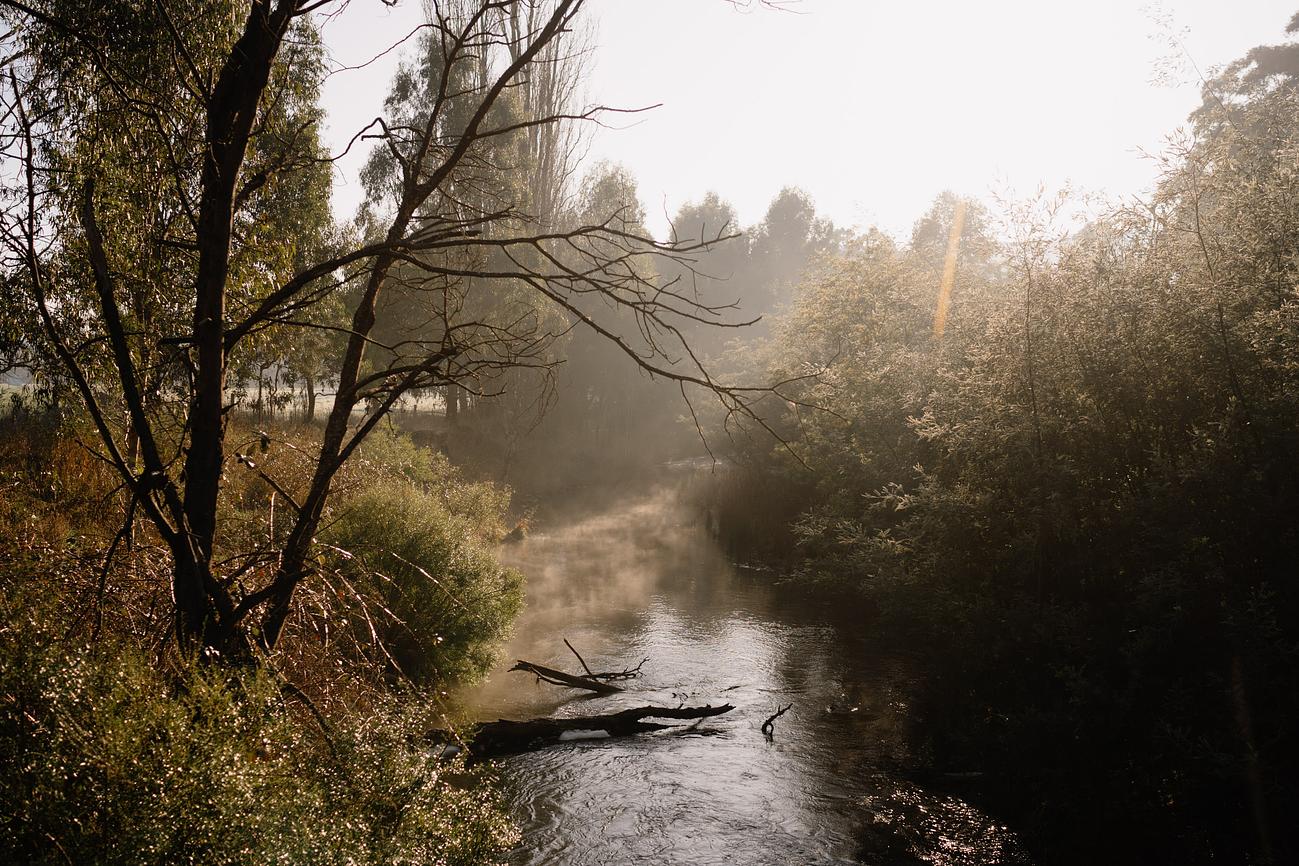 King Parrot Creek | Riparide