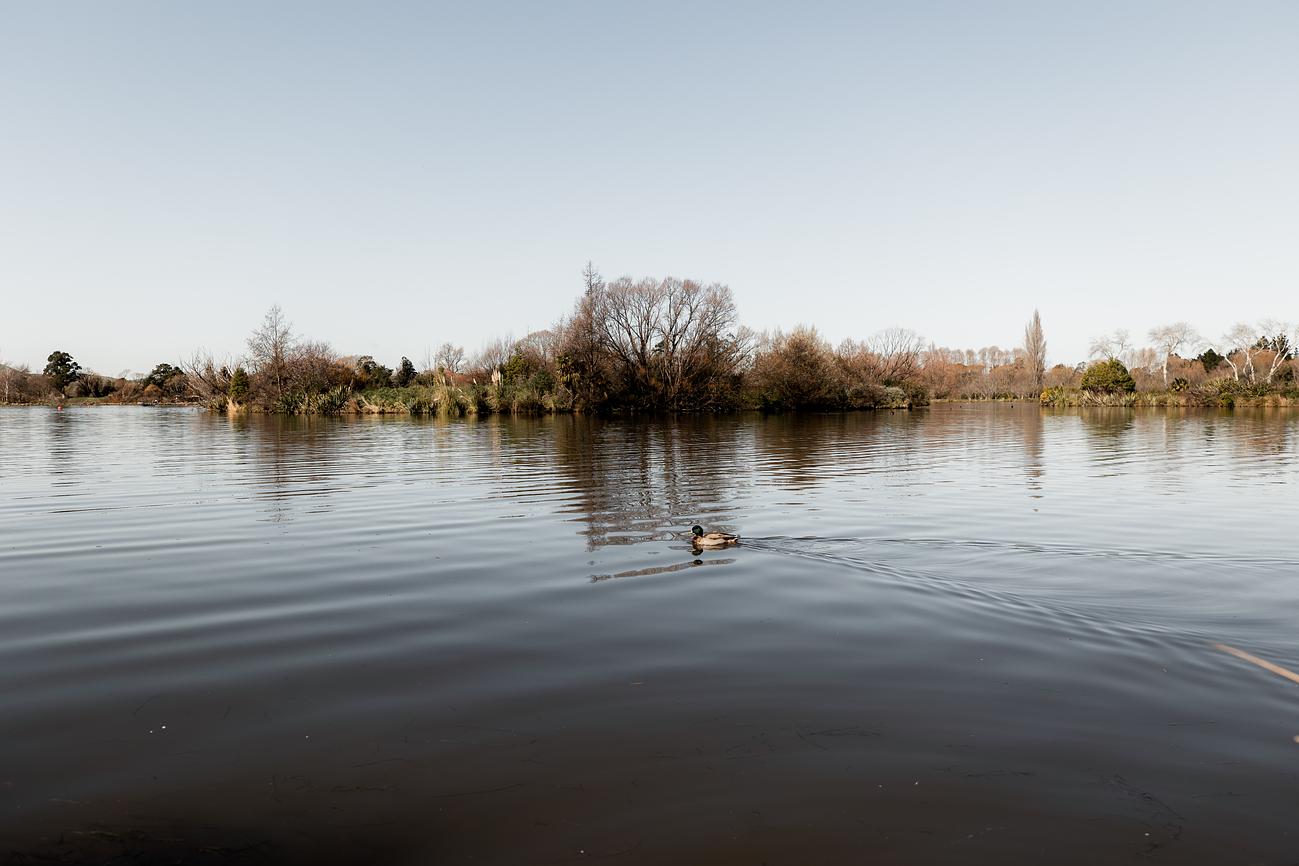 Henley Lake Park | Riparide