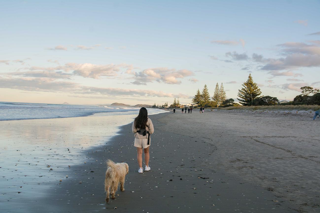 Sunset on Waihi Beach | Riparide