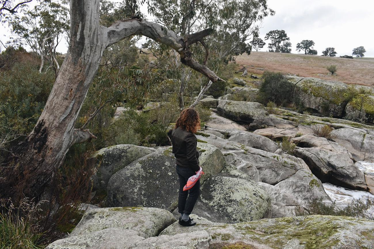 Metcalf Cascades | Riparide