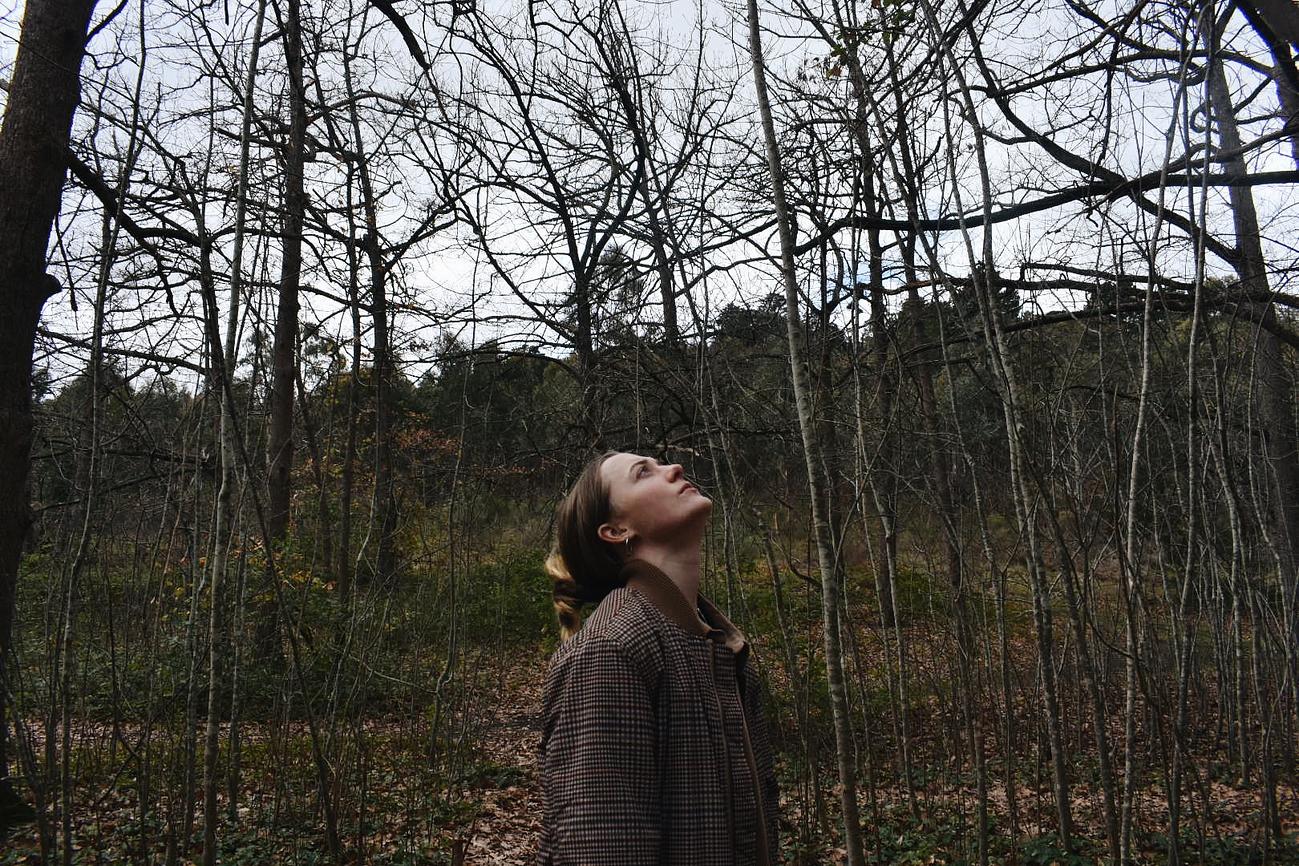 Oak Forest | Riparide