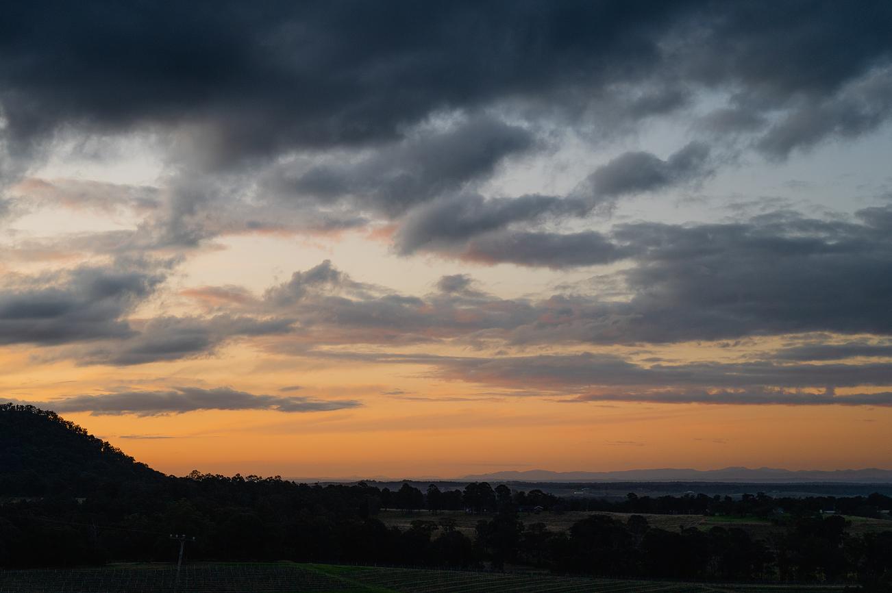 Sunset Over the Vineyards | Riparide