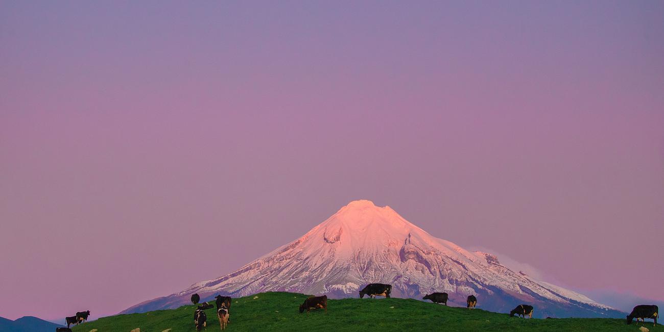 Paradise in Taradise - Adventure by Charlotte in Ōakura, Taranaki, NZ ...