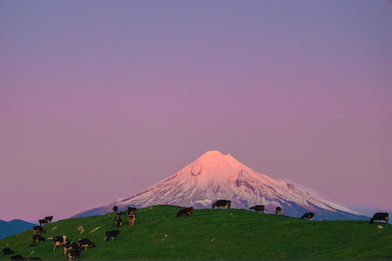Paradise in Taradise - Adventure by Charlotte in Ōakura, Taranaki, NZ ...