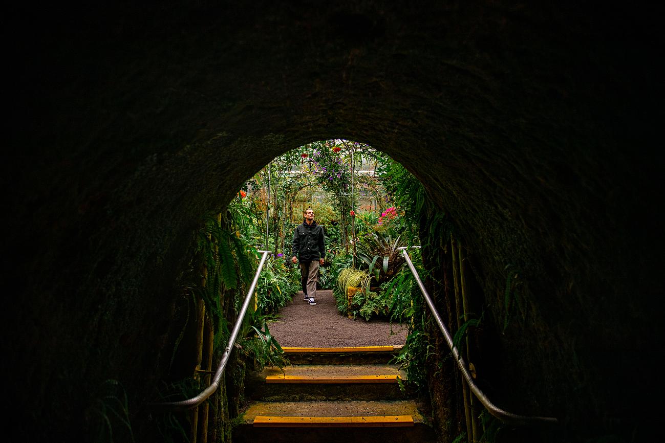 Paradise in Taradise - Adventure by Charlotte in Ōakura, Taranaki, NZ ...
