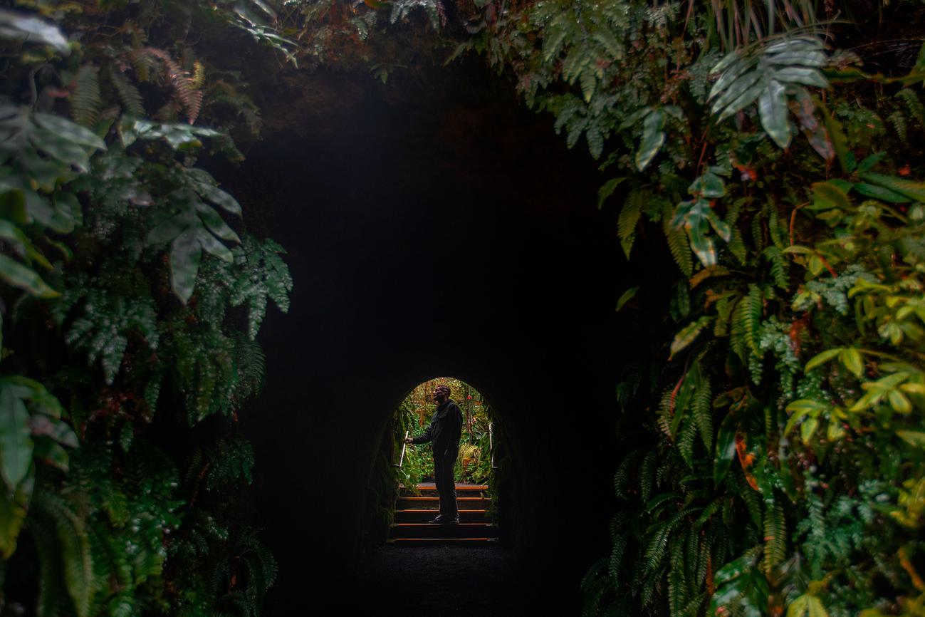 Paradise in Taradise - Adventure by Charlotte in Ōakura, Taranaki, NZ ...