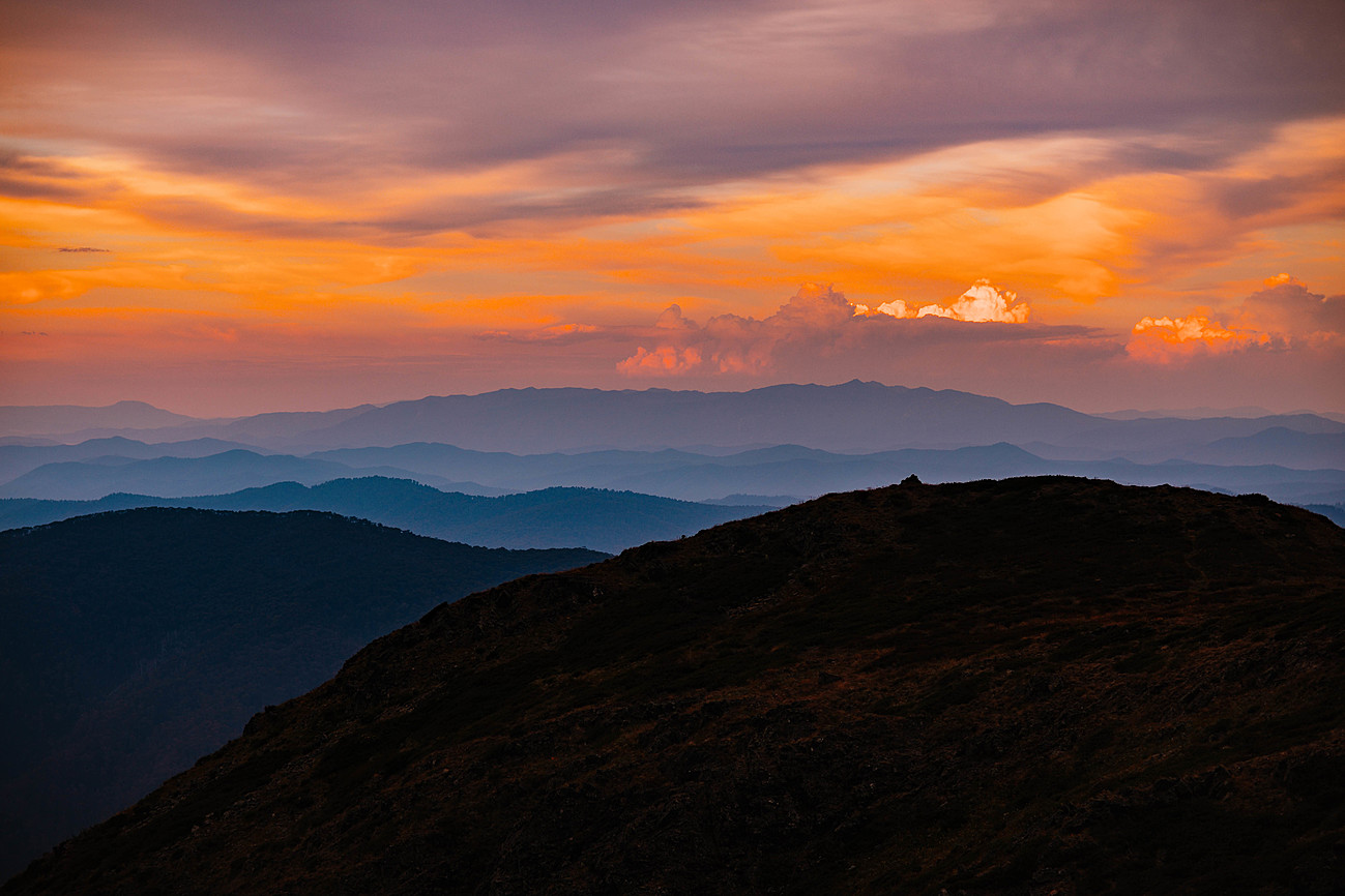 Mt.Buller | Riparide