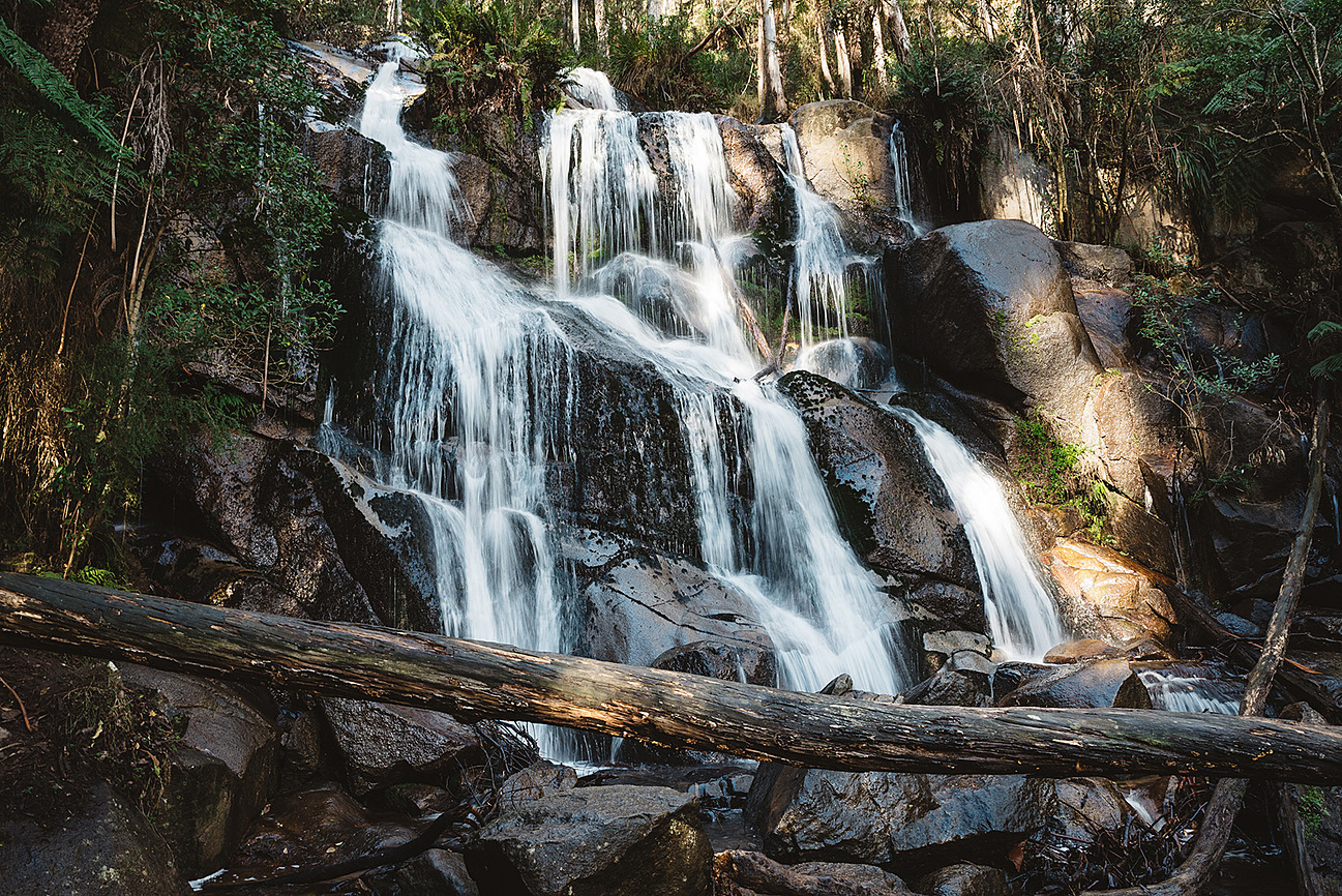 Toorongo & Amphitheatre Falls | Riparide