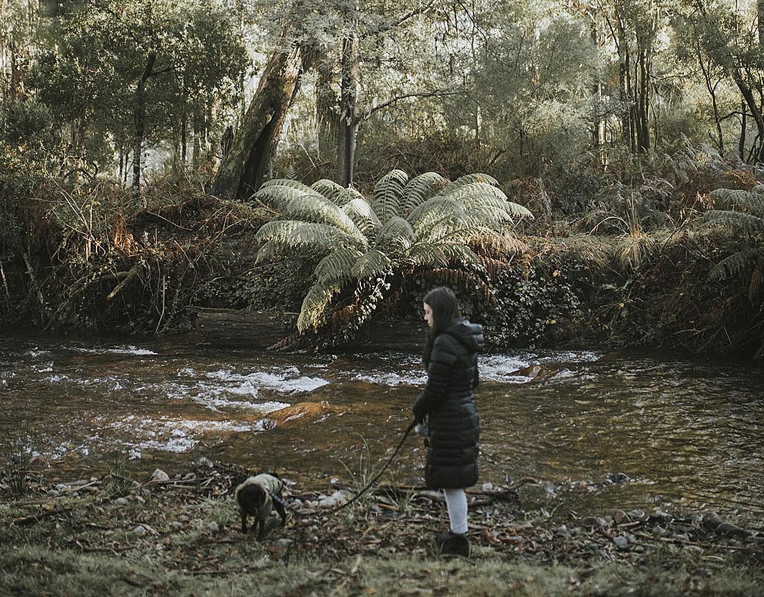 Delatite River Walk | Riparide