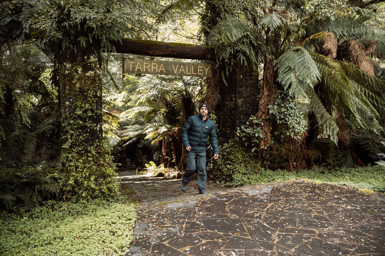 Tarra Bulga National Park | Riparide