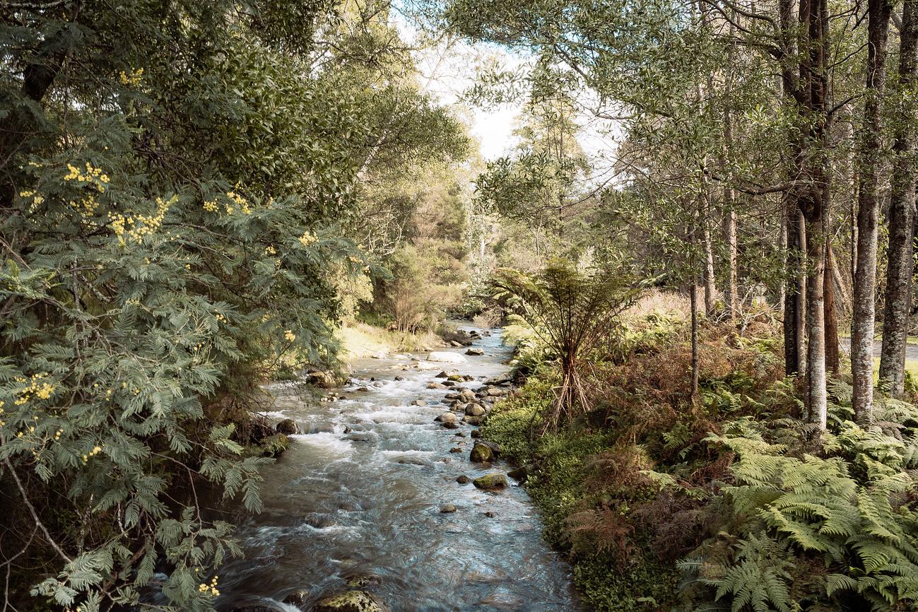 The Pearl of Gippsland - Adventure by David in Woodside North ...