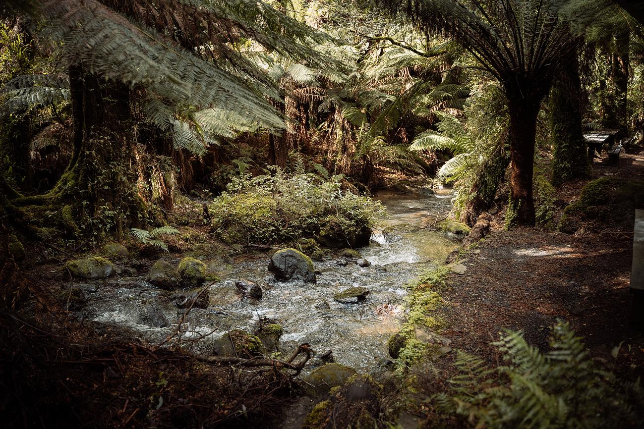 The Pearl of Gippsland - Adventure by David in Woodside North ...