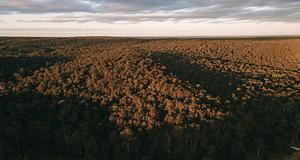 The Pearl of Gippsland - Adventure by David in Woodside North ...