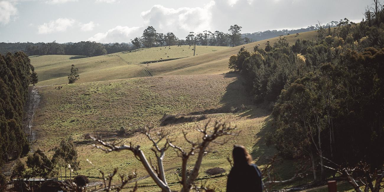 The Pearl of Gippsland - Adventure by David in Woodside North ...