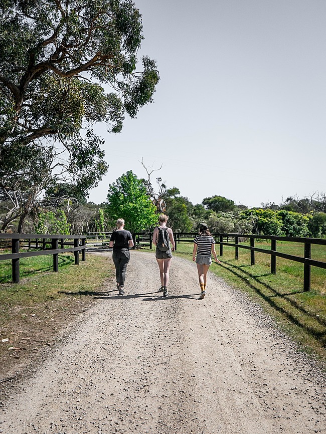 Howard's Hill | Riparide