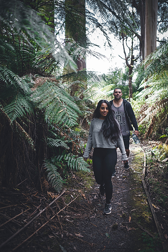 Fern Tree Gully Track | Riparide