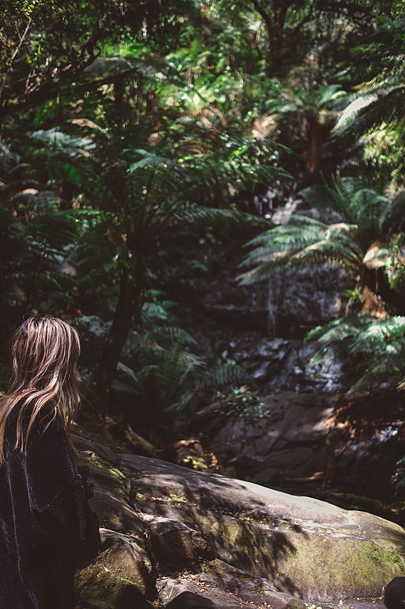 Cyathea Falls | Riparide