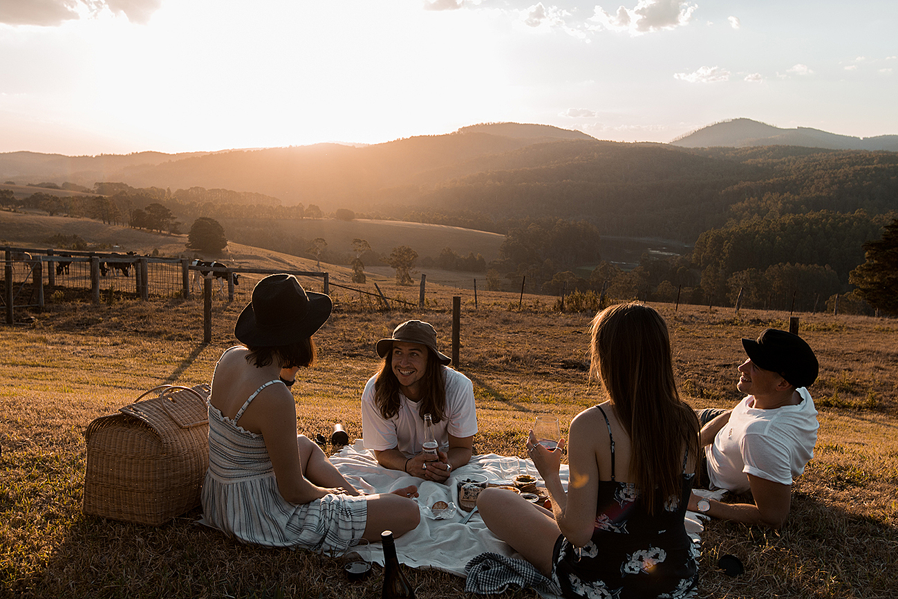 Apex Picnic Area & Lookout | Riparide