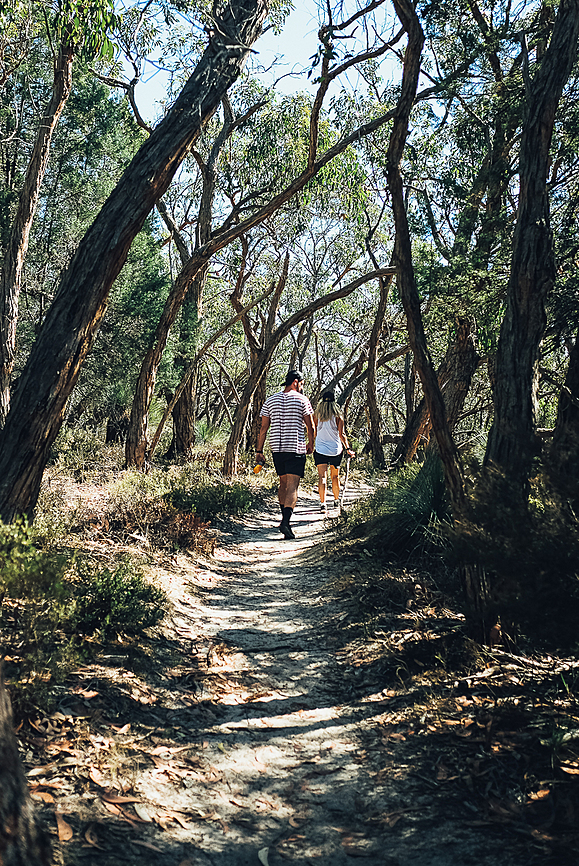 Mt Sturgeon Hike | Riparide