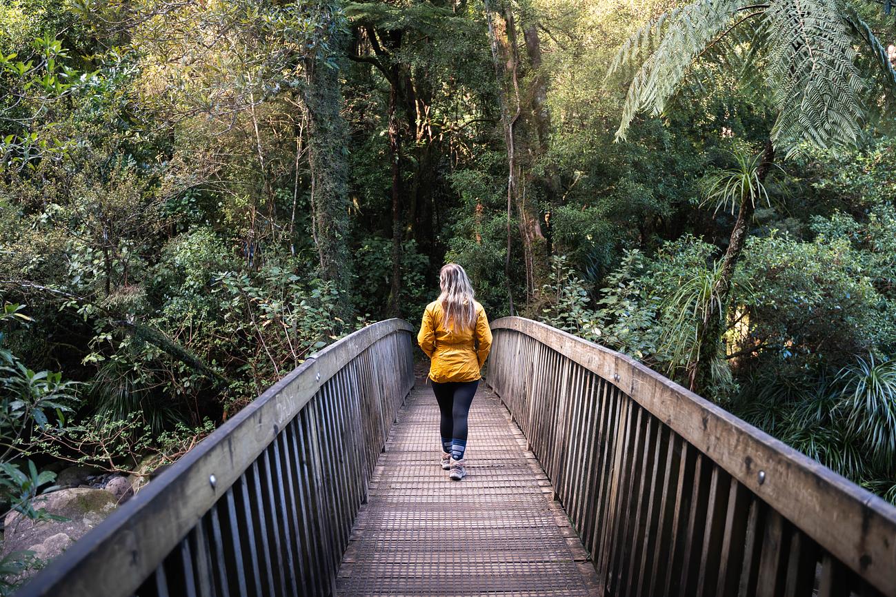 Wairere Falls Lookout Walk | Riparide