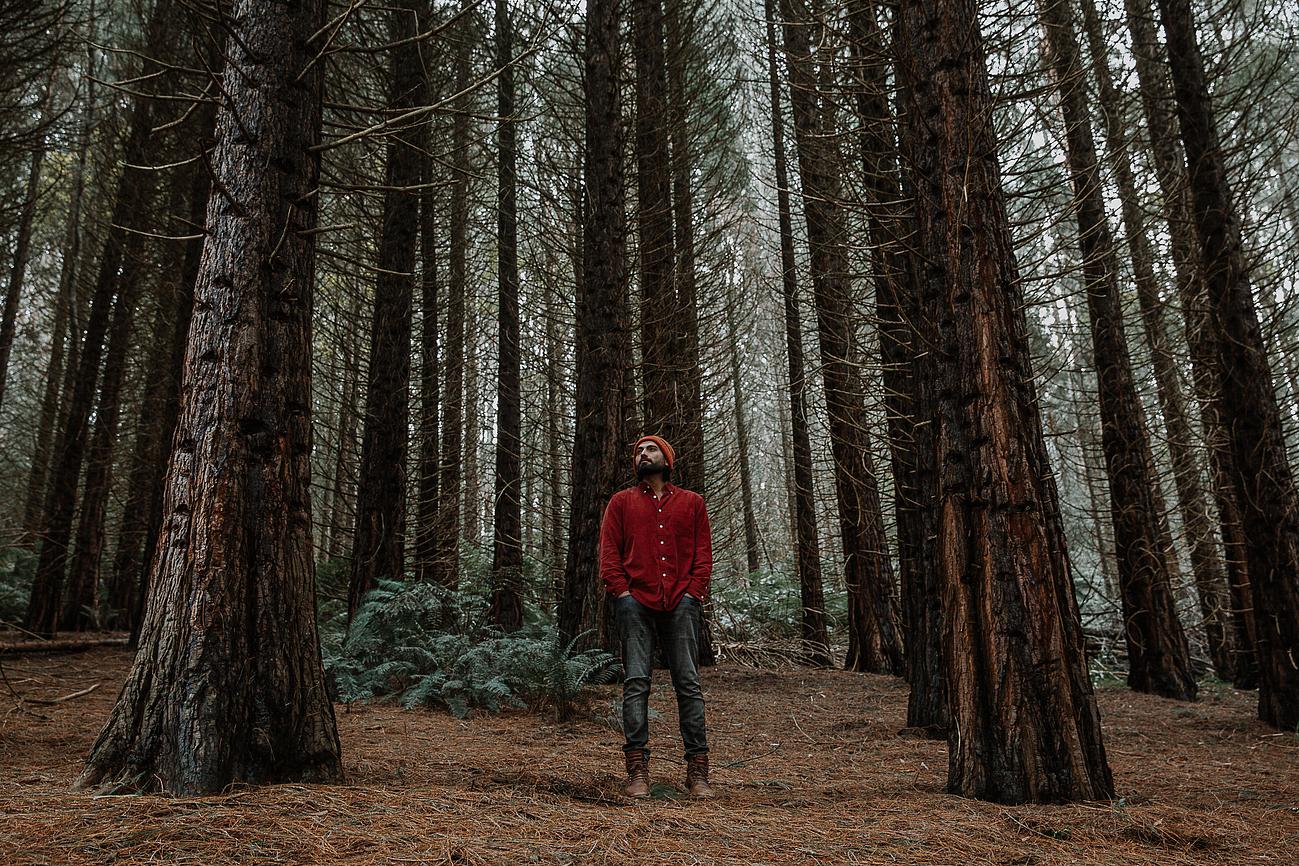 Discover the Pines at RJ Hamer Arboretum | Riparide