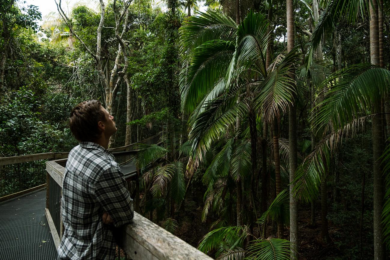 Sea Acres Rainforest Boardwalk | Riparide