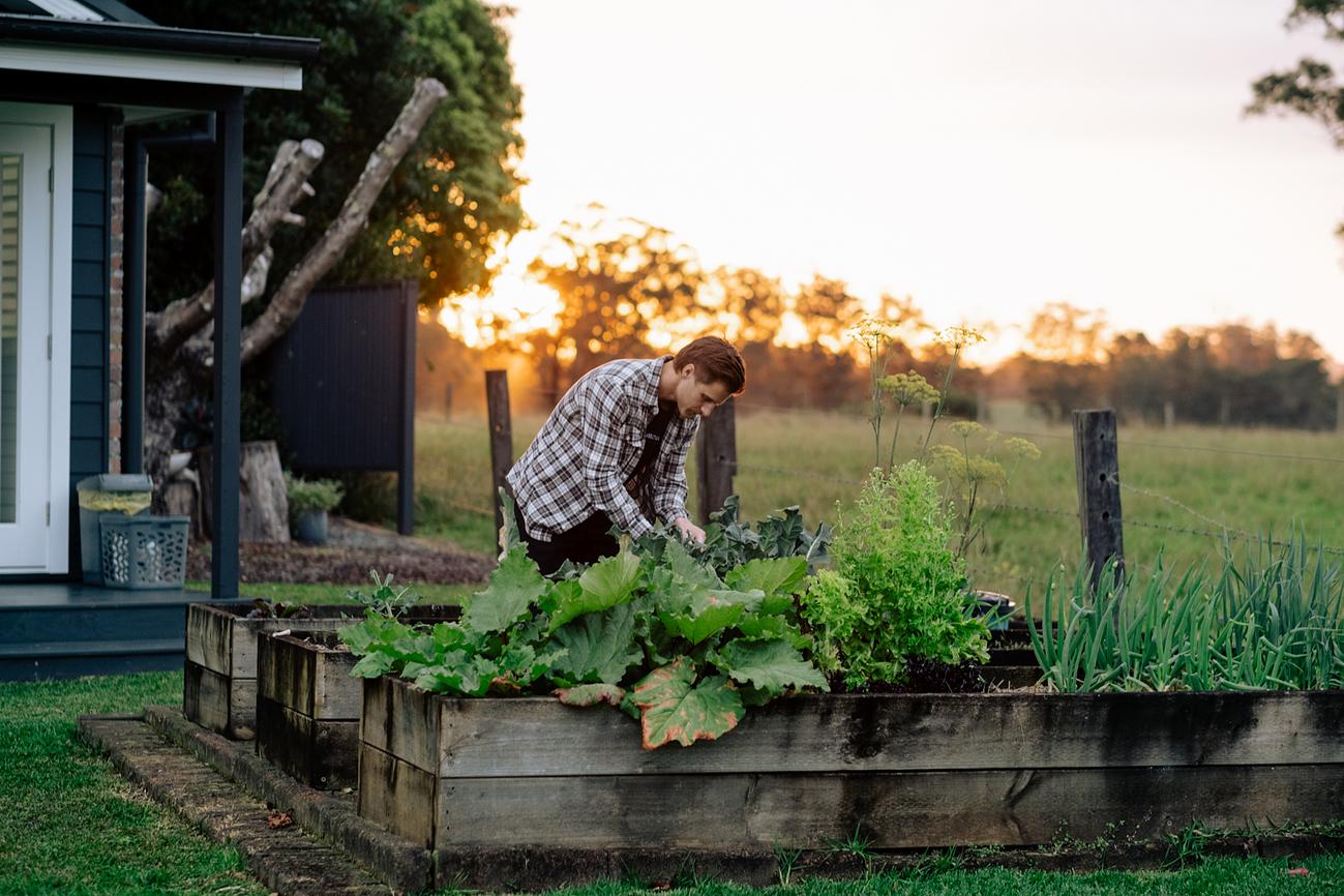 Farm Life | Riparide