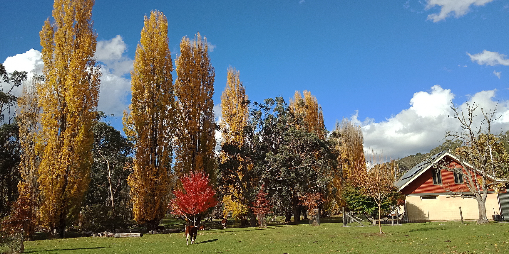 Timbarra Hideaway - Cottage for Rent in Buchan, Gippsland, VIC, AU ...