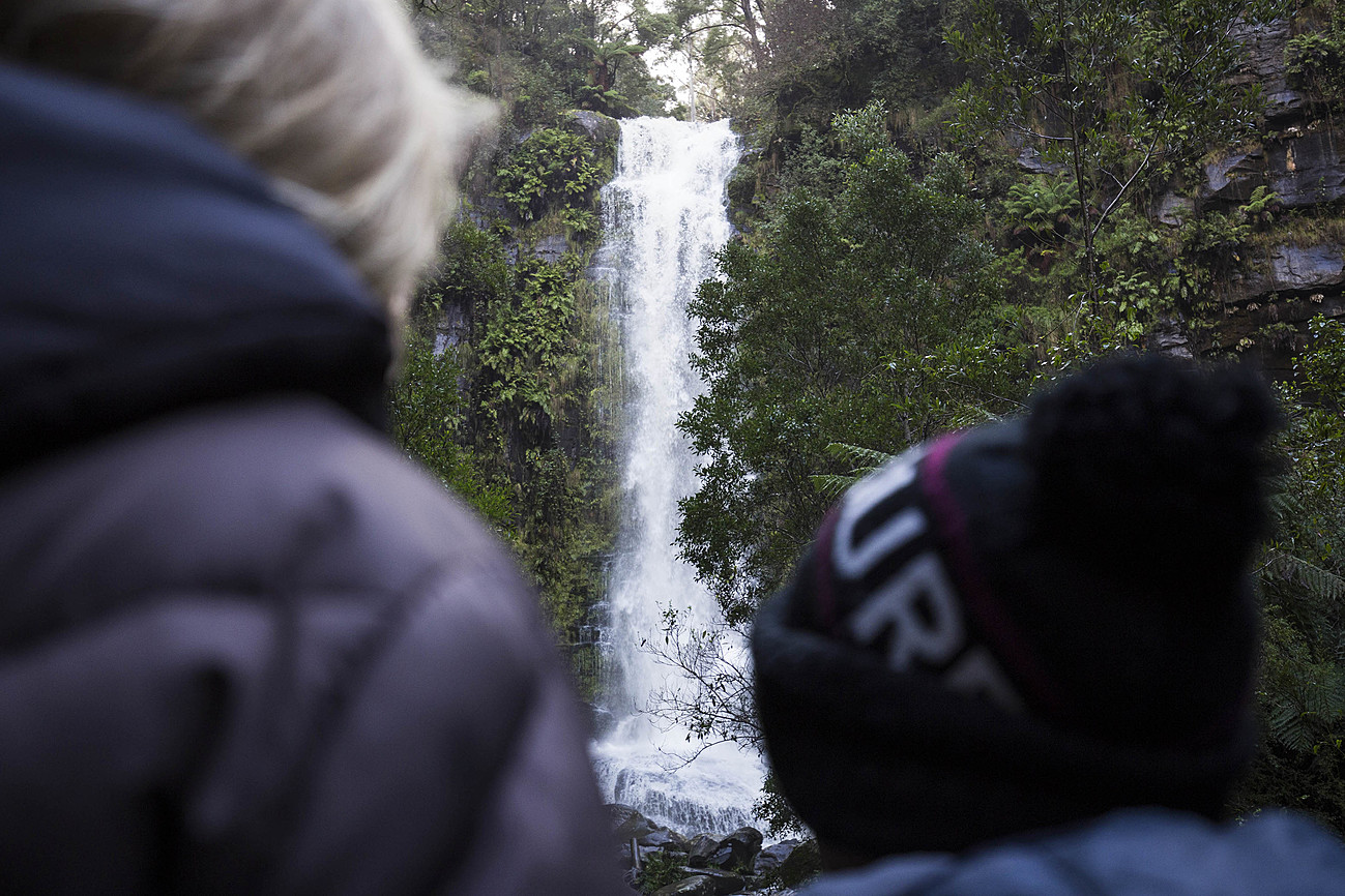 Erskine Falls | Riparide