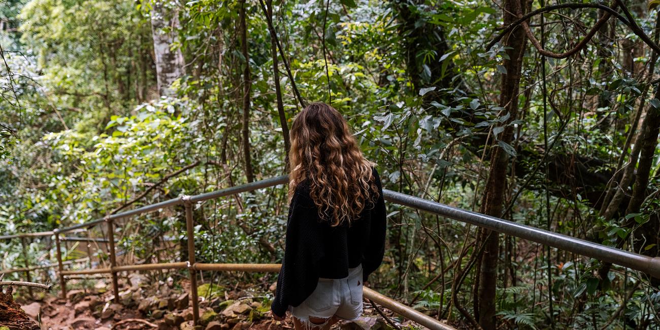 Unwind in the Hinterland - Adventure by Jade in The Pocket, North Coast, NSW, AU | Riparide