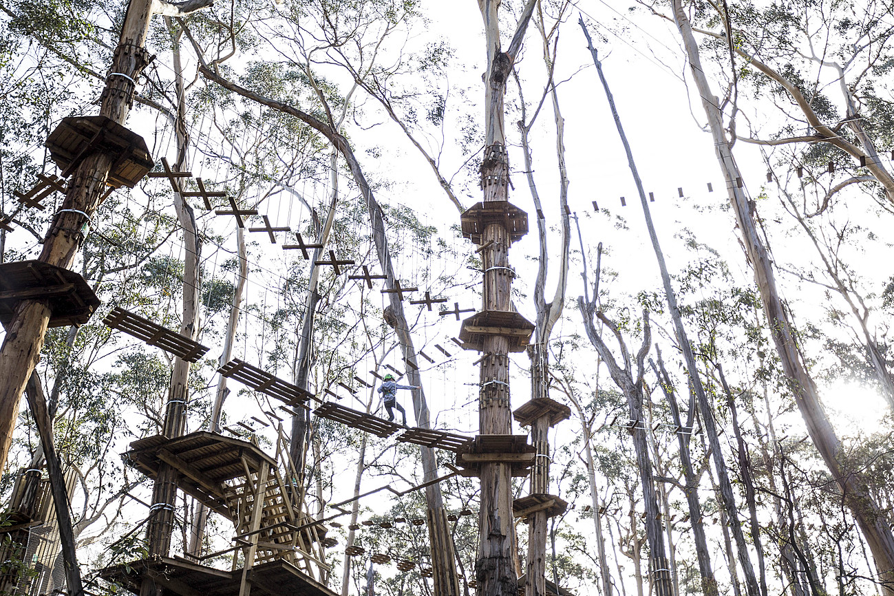 Escape to the View - Adventure by Xavier in Deans Marsh, Great Ocean ...