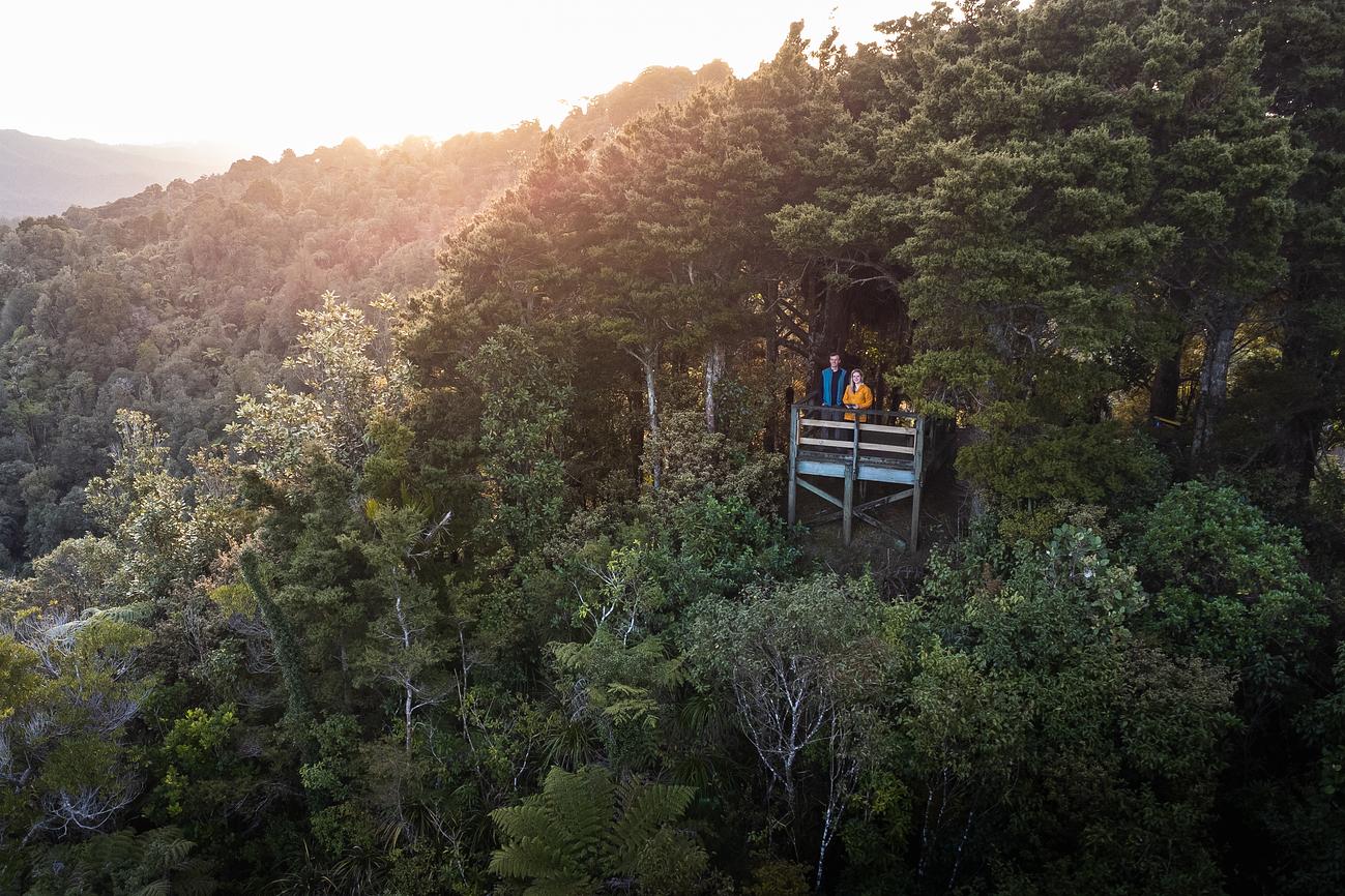 Dome Forest Lookout | Riparide