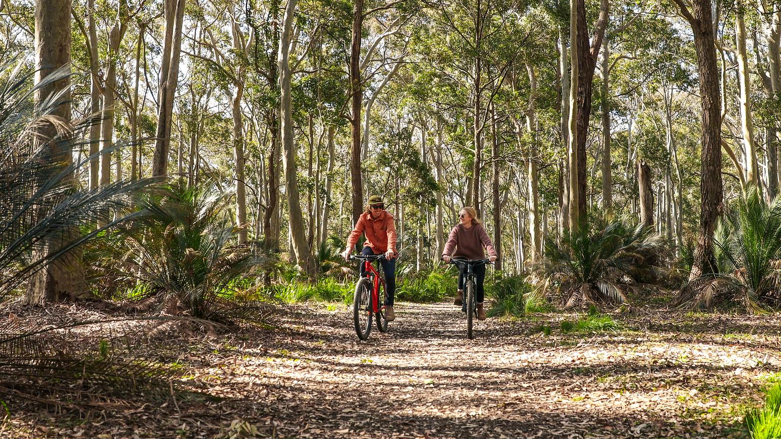 Mountain Biking in Monga National Park | Riparide