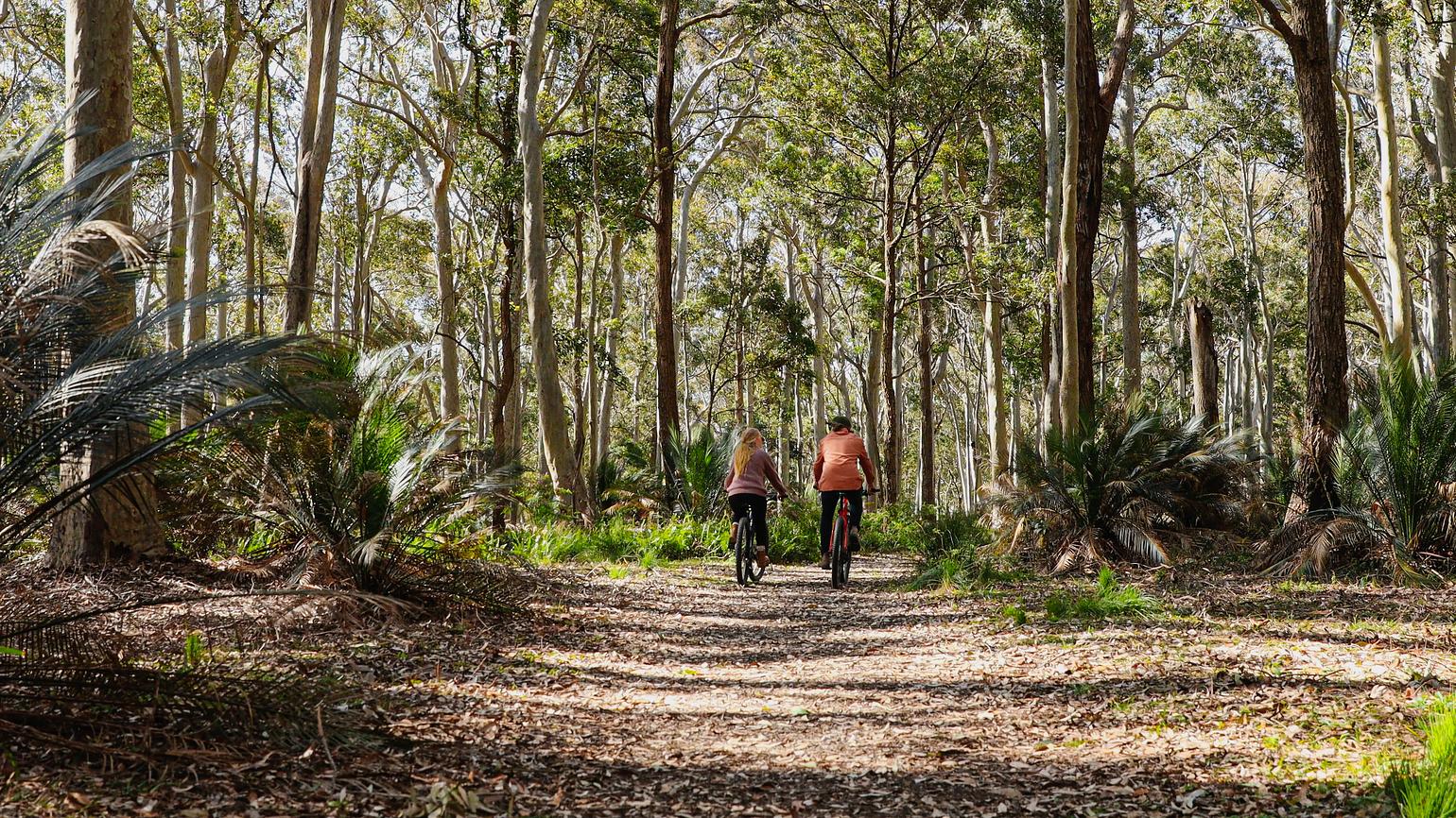 Rustic Cabin at Monga Mountain Retreat - Adventure by Byron in ...