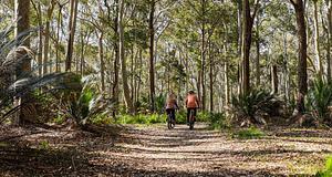 Rustic Cabin at Monga Mountain Retreat - Adventure by Byron in Reidsdale, Country NSW, NSW, AU ...