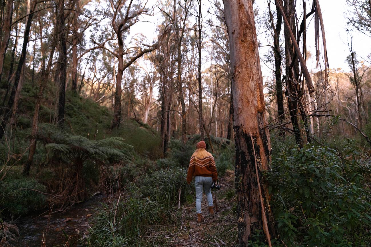 Rustic Cabin at Monga Mountain Retreat - Adventure by Byron in ...