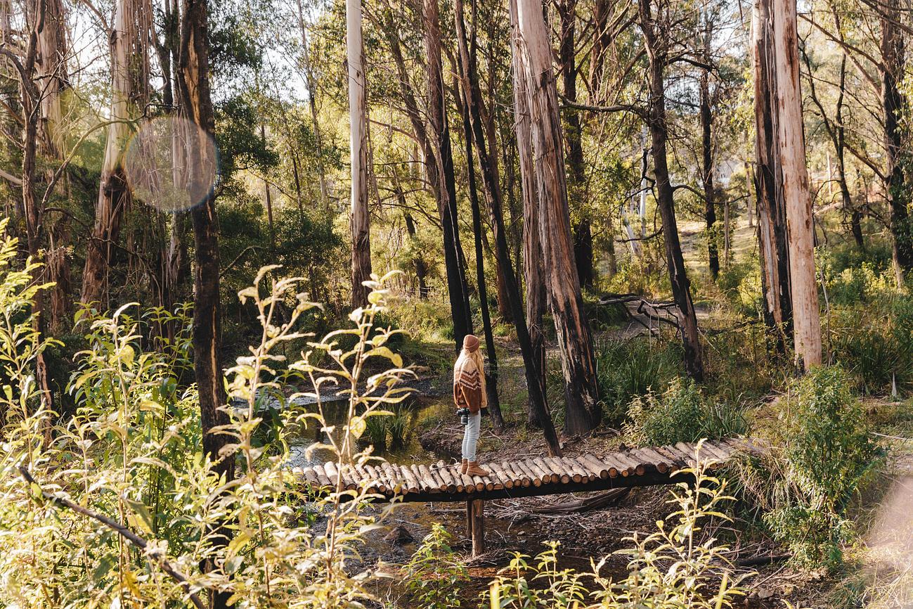 Bush Walk Along the Creek | Riparide