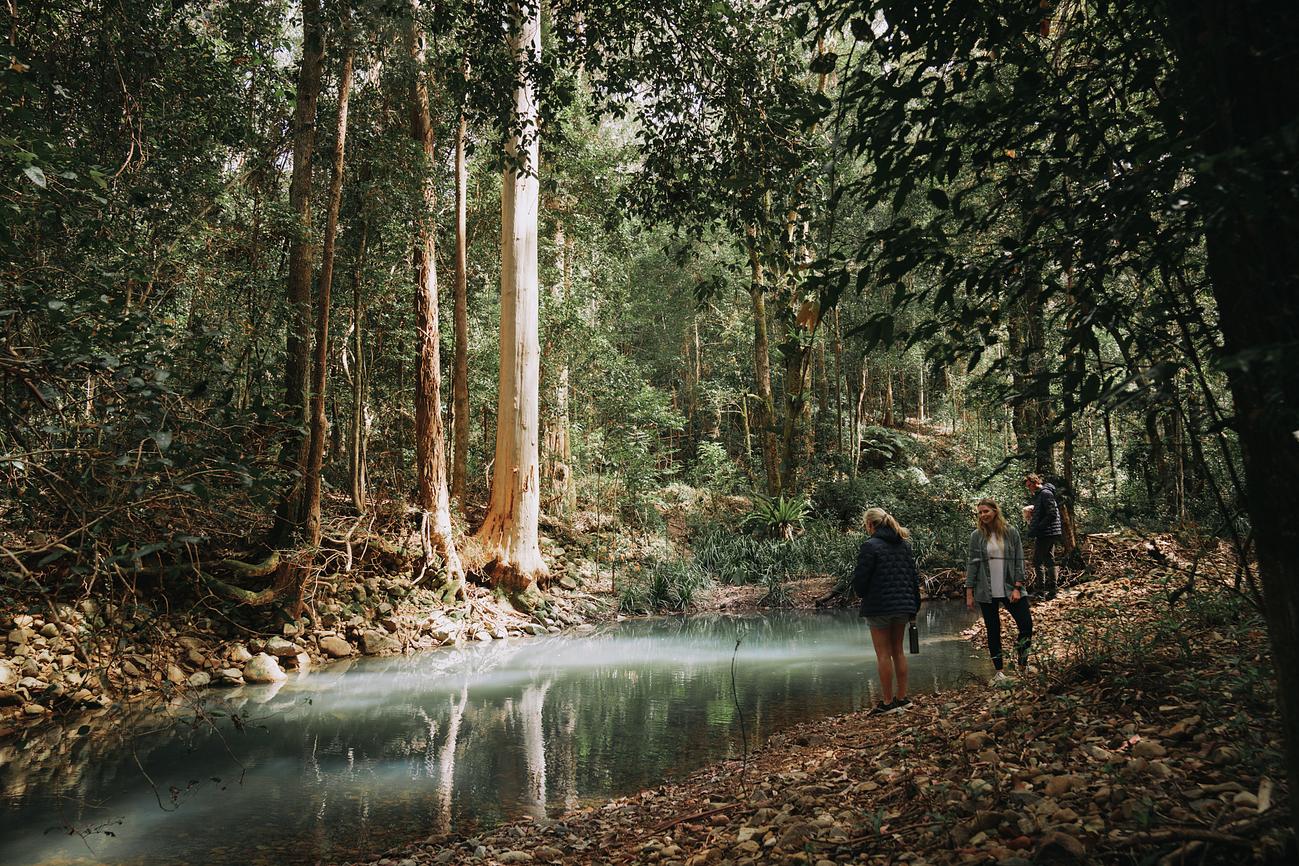 Waterhole | Riparide