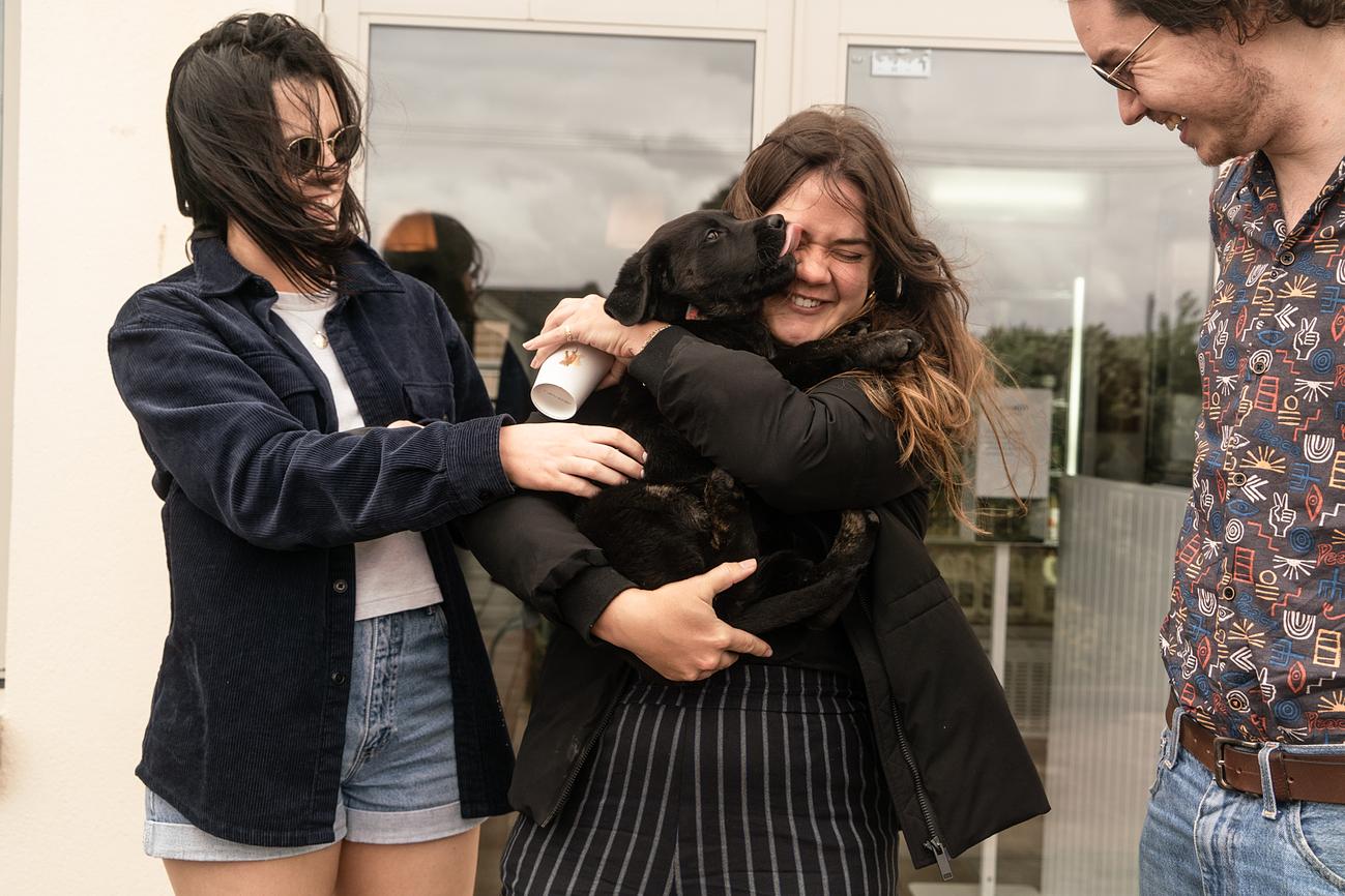 Coffee at Peterborough House | Riparide