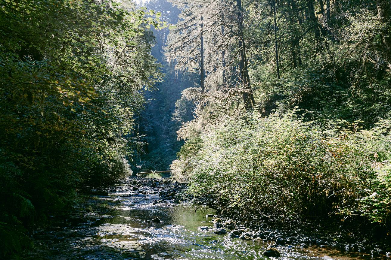 Glamping in Molalla - Adventure by Gabriela in Molalla, Portland Region ...