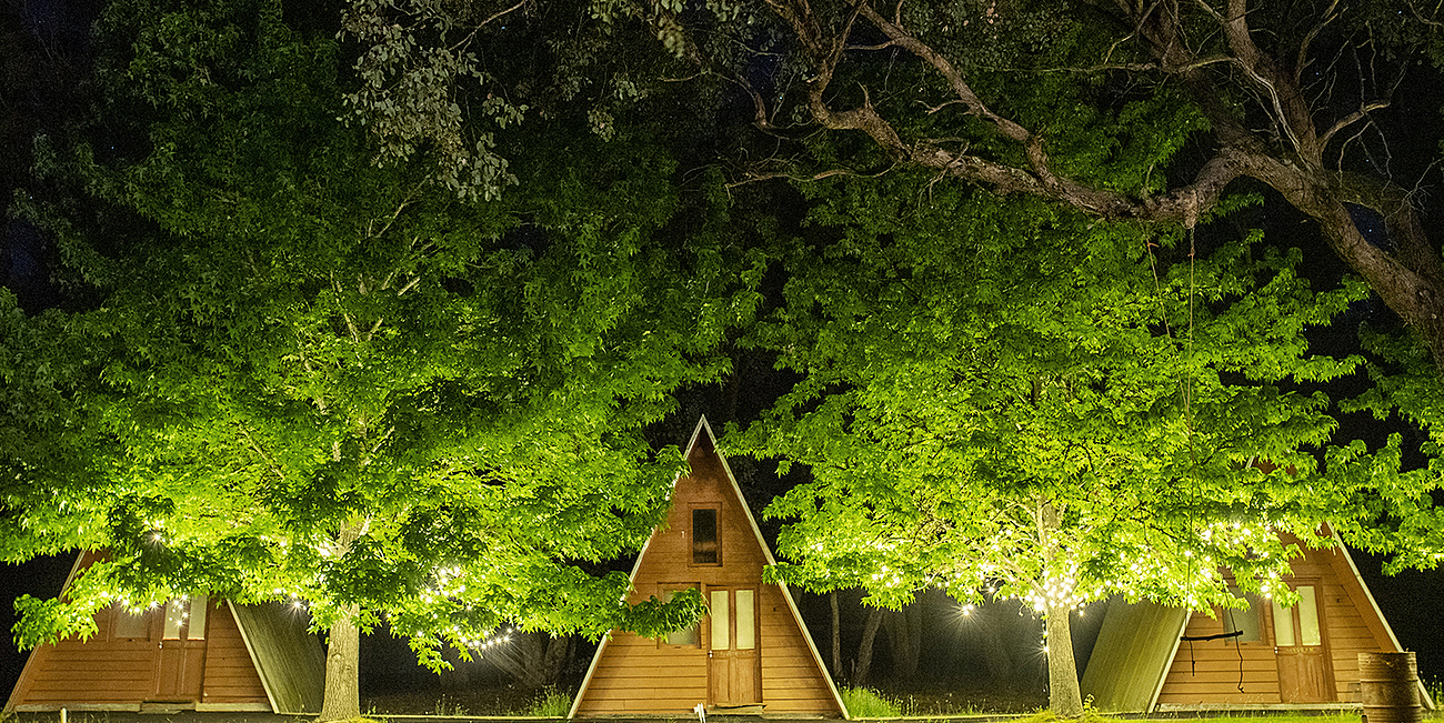 Fawlty Farm - Includes 3 Free Adventures - Lodge for Rent in Taylor Bay ...