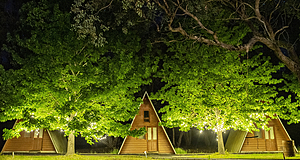 Fawlty Farm - Includes 3 Free Adventures - Lodge for Rent in Taylor Bay ...