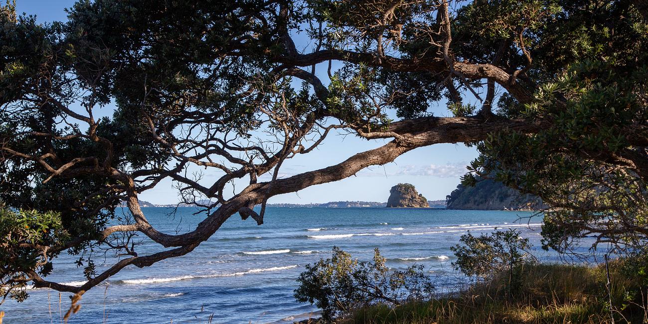The Perfect Puhoi Escape - Adventure by Tegan in Puhoi, Auckland, NZ ...