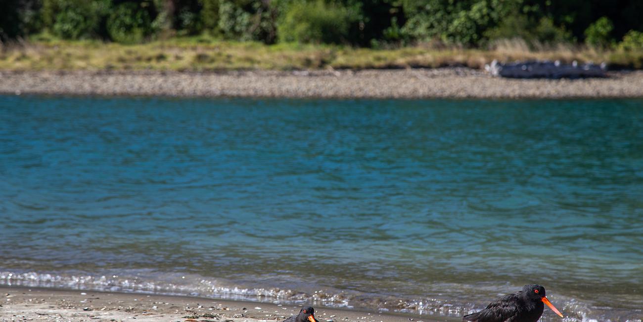 The Perfect Puhoi Escape - Adventure by Tegan in Puhoi, Auckland, NZ ...