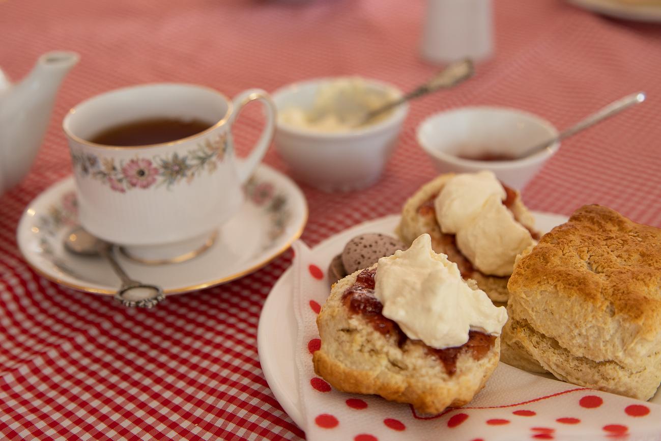 The Perfect Puhoi Escape - Adventure by Tegan in Puhoi, Auckland, NZ ...