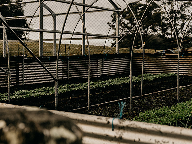 Worrowing Boat Shed Studio - Cabin for Rent in Worrowing Heights, South ...