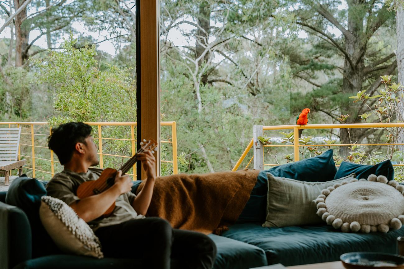 Bird Watching Has Never Been Easier | Riparide