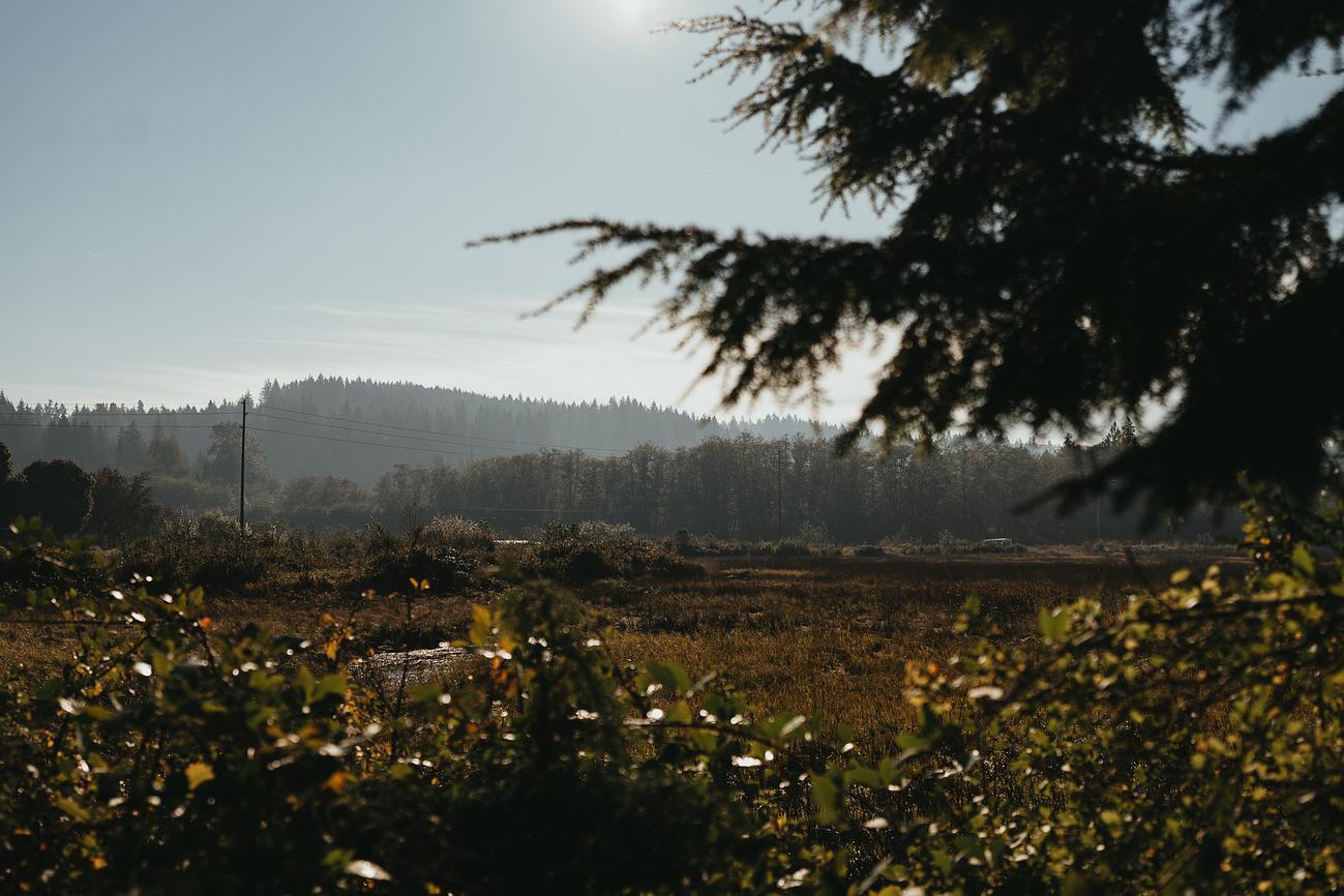 Bird Watching Walk | Riparide