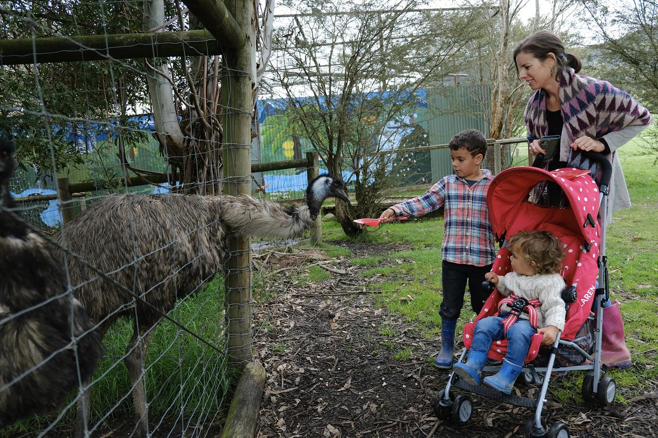 Mansfield Zoo | Riparide