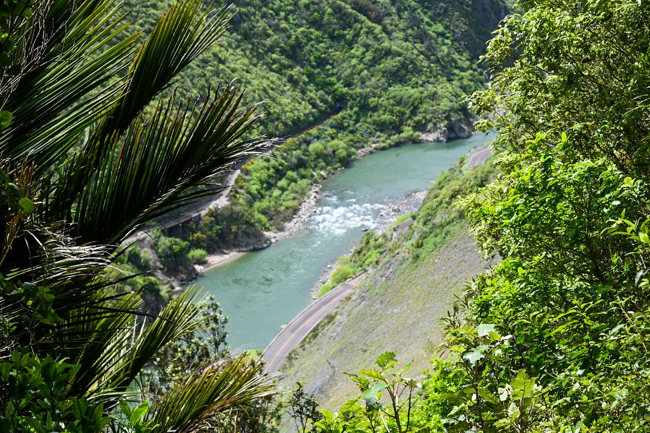 Manawatū Gorge Track | Riparide